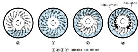Comment fonctionne une pompe à vide ? | Cenov' Distribution